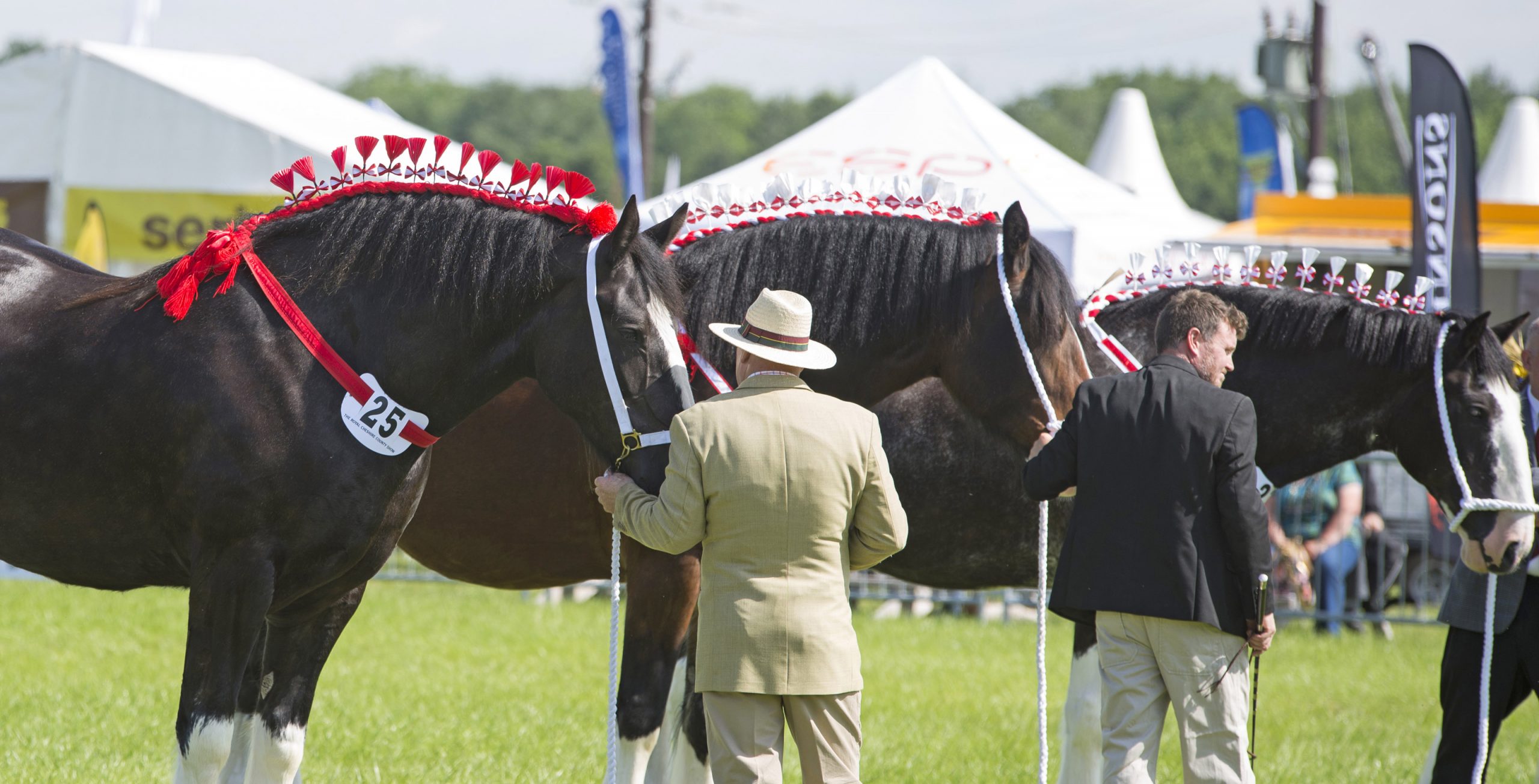 Delma Nulty representing The Royal Cheshire County Show at HOYS – Royal ...