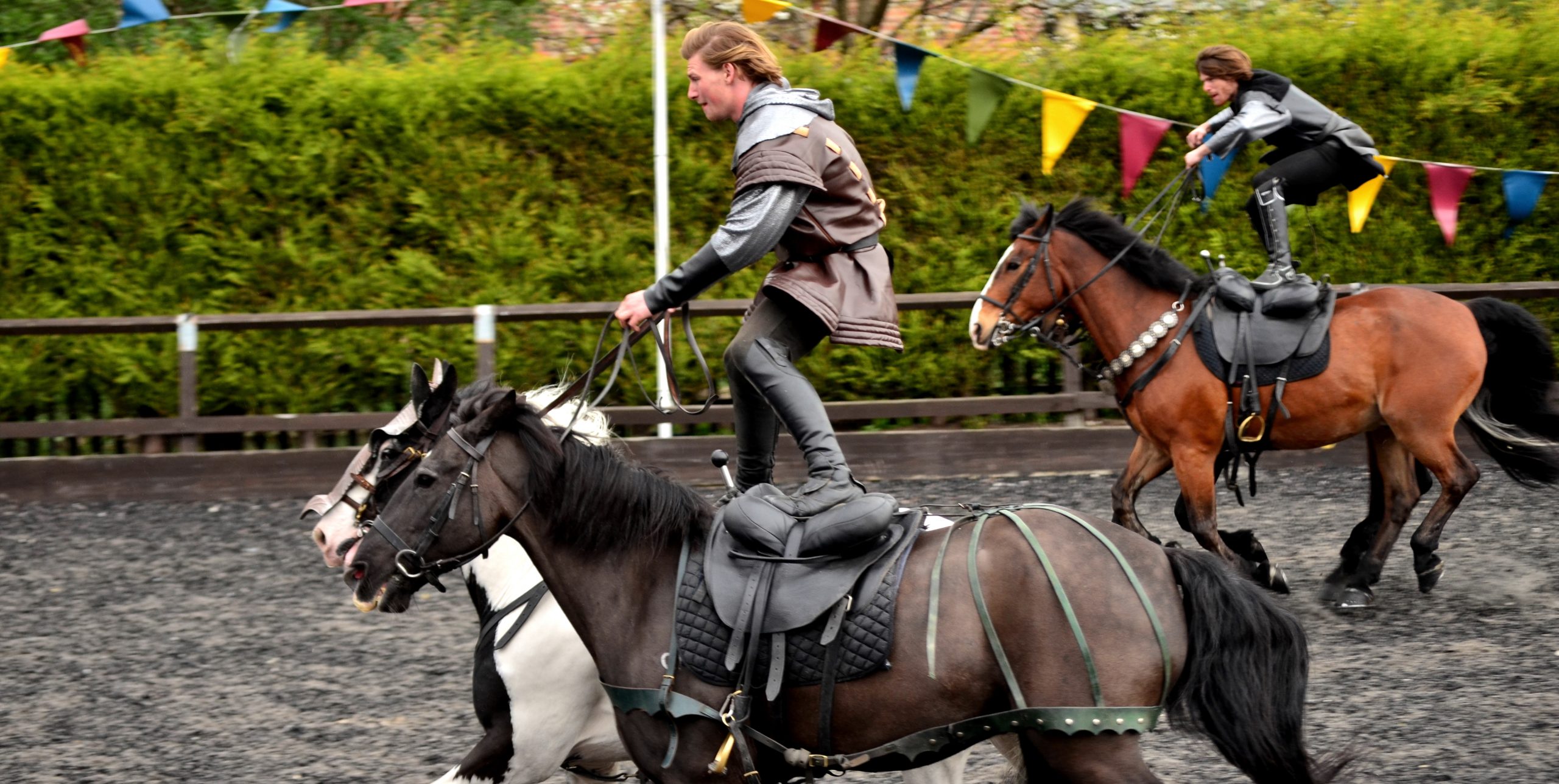 The Royal Cheshire County Show’s incredible 2016 Main Ring Programme revealed! – Royal Cheshire Show