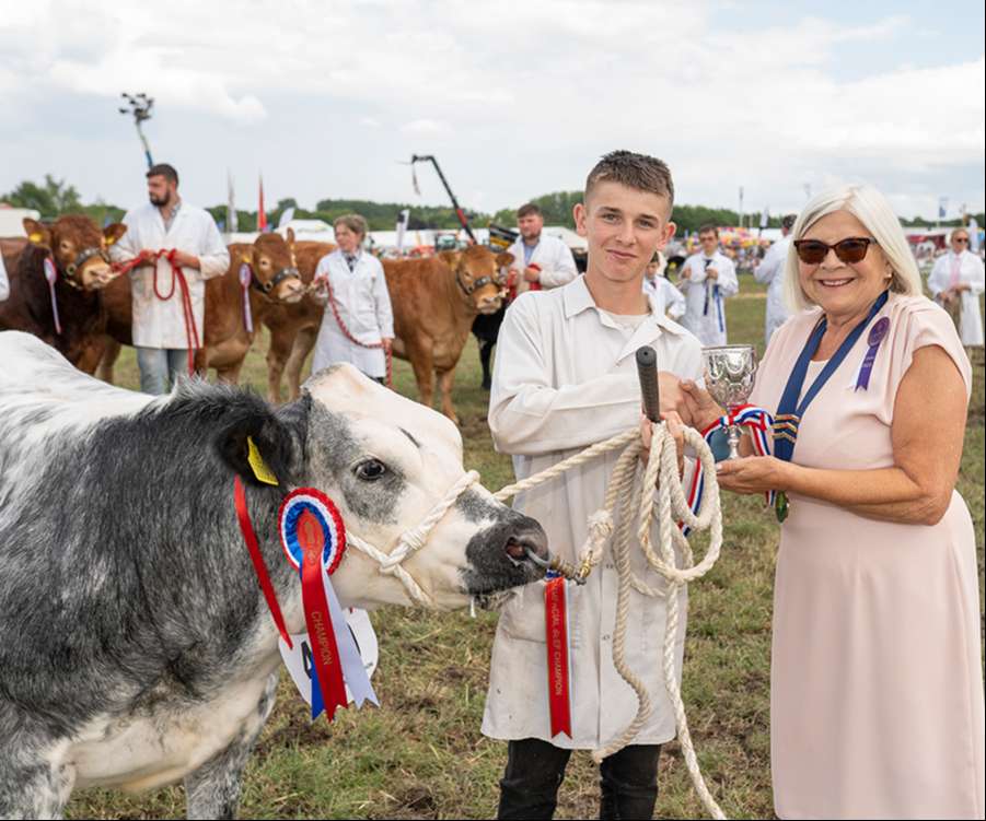 Cattle – Royal Cheshire Show