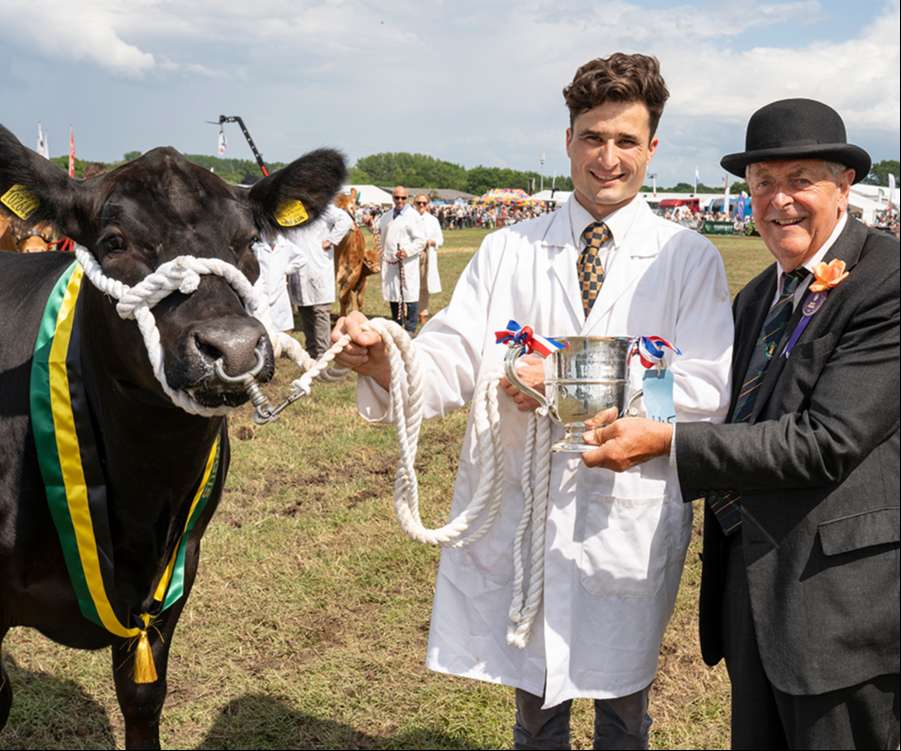 Cattle – Royal Cheshire Show