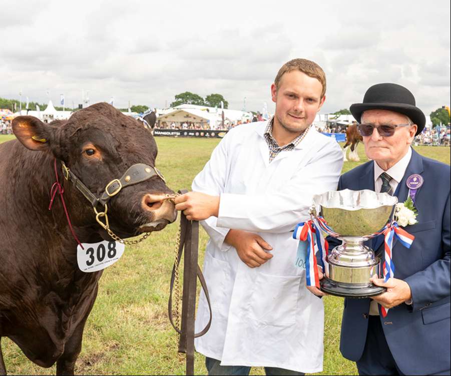 Cattle – Royal Cheshire Show