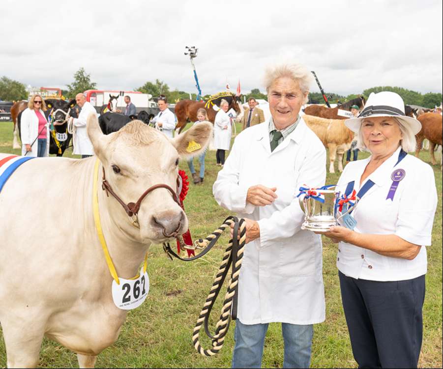 Cattle – Royal Cheshire Show