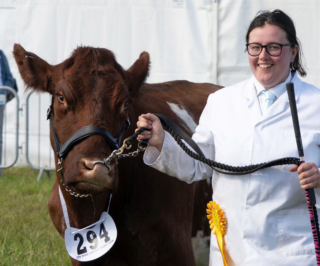 Cattle – Royal Cheshire Show