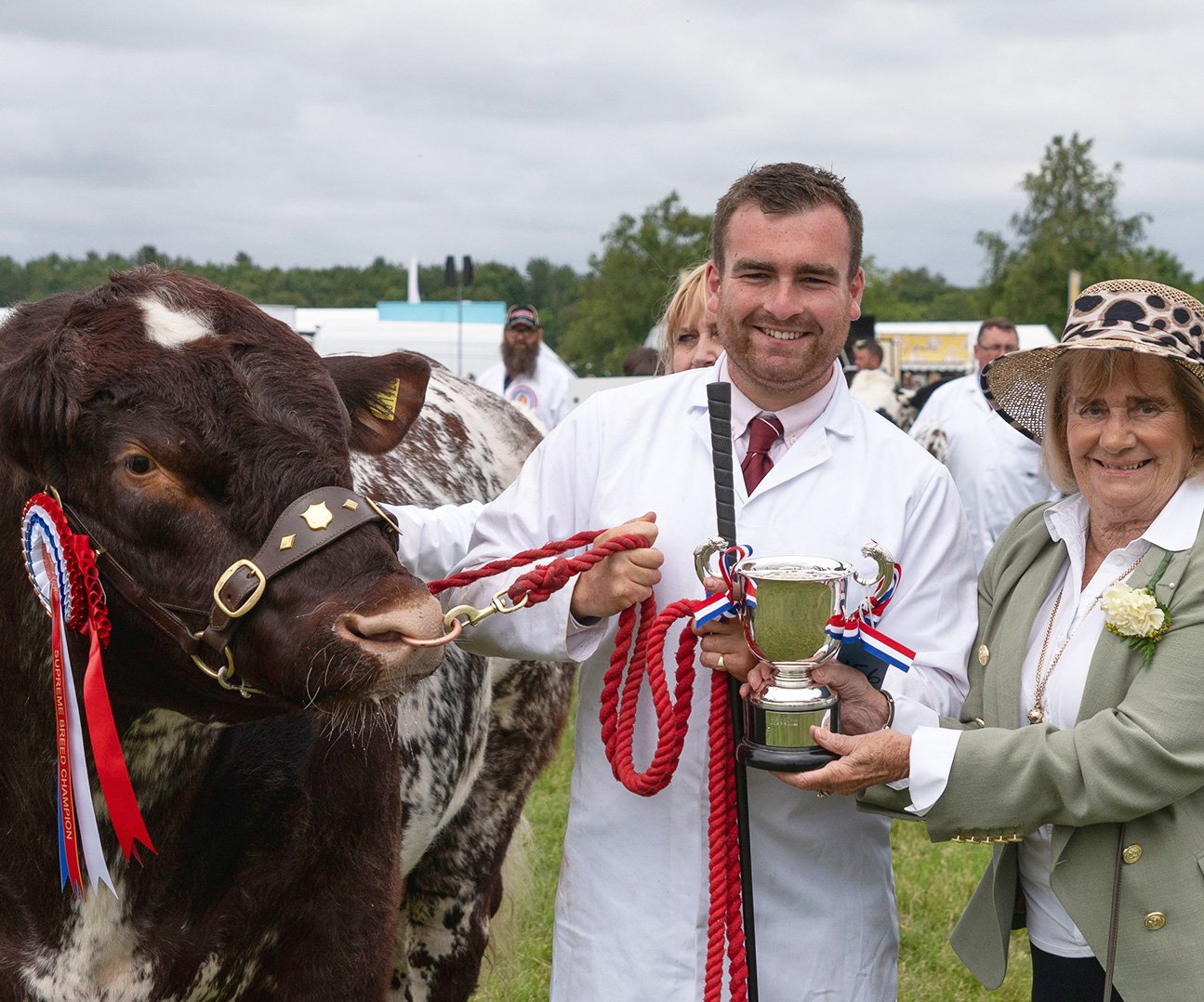 Cattle – Royal Cheshire Show