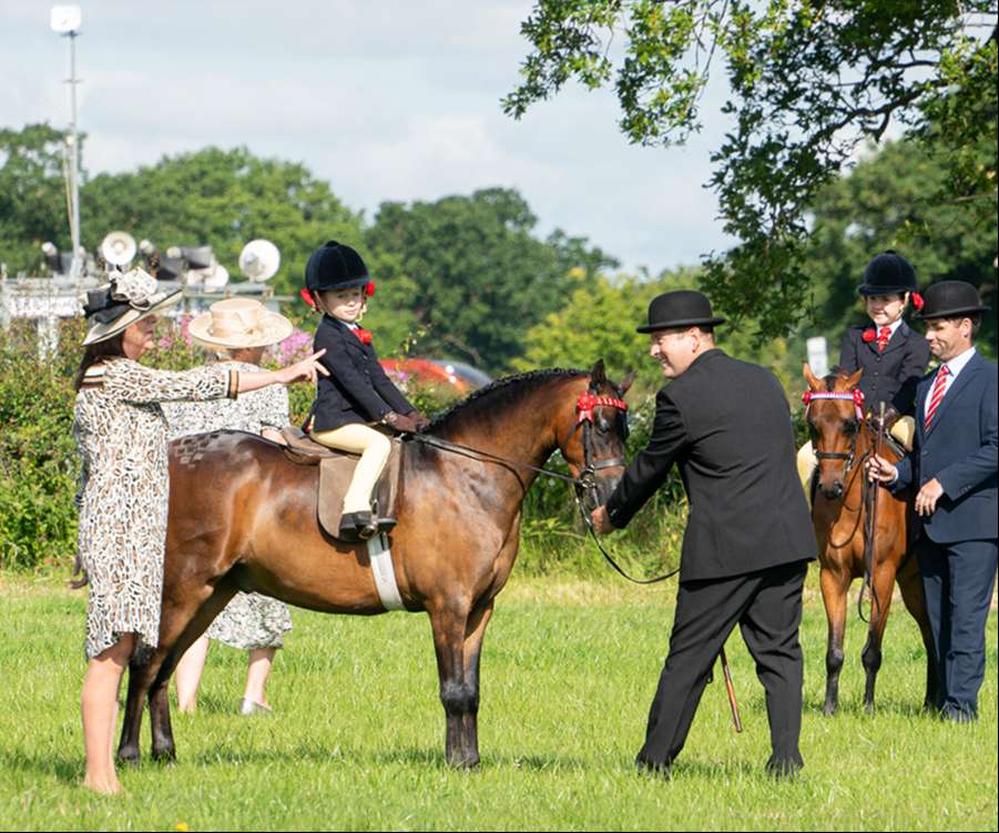 Light Horses – Royal Cheshire Show