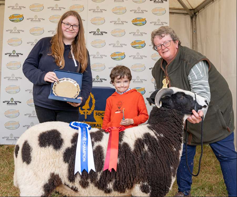Sheep – Royal Cheshire Show