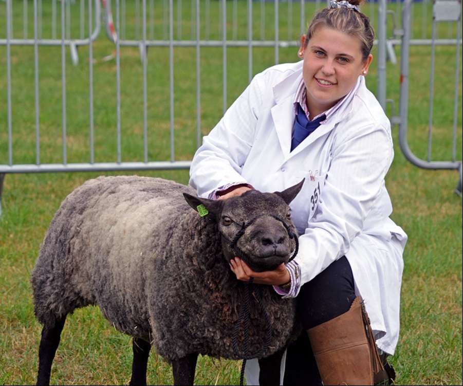 Sheep – Royal Cheshire Show