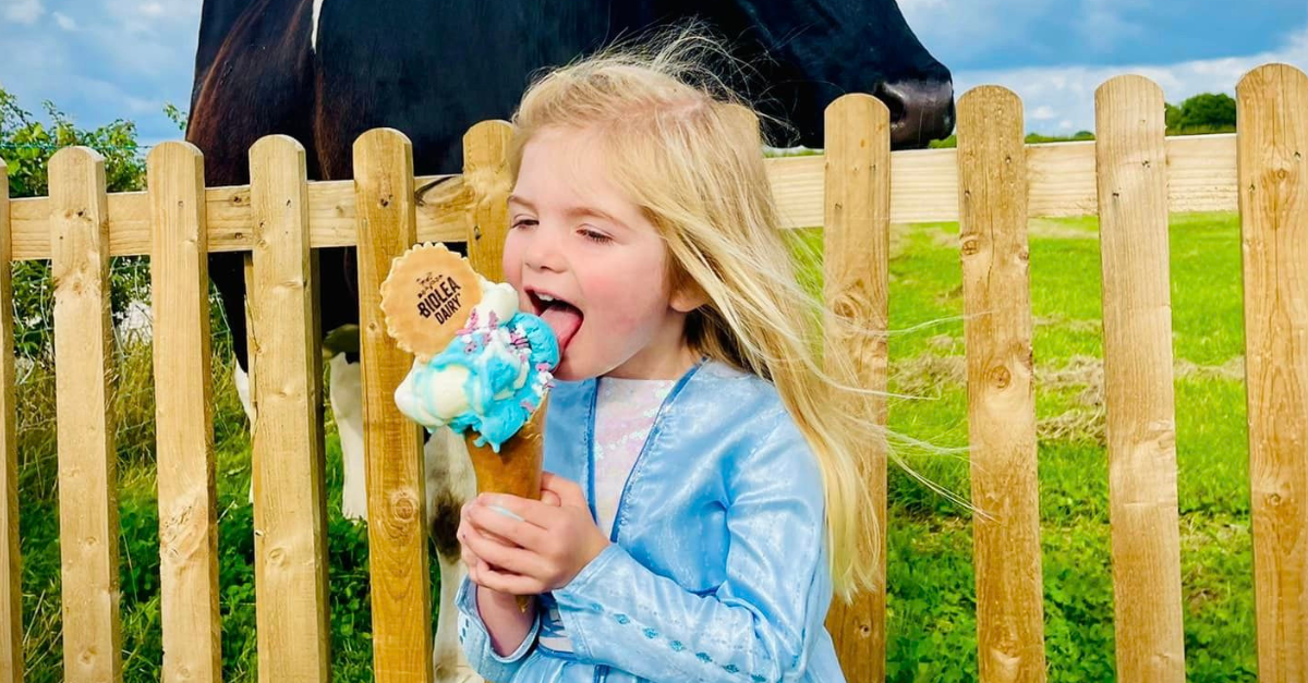 WIN a Family Pass to The Royal Cheshire County Show 2024, Plus FREE Ice ...